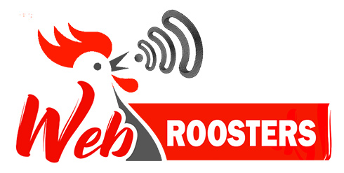 Website Designing & Development Company In Bhopal | Web Roosters